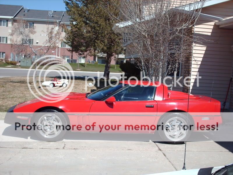 C4 Rear Hatch Cover, with Removable rear window - CorvetteForum ...