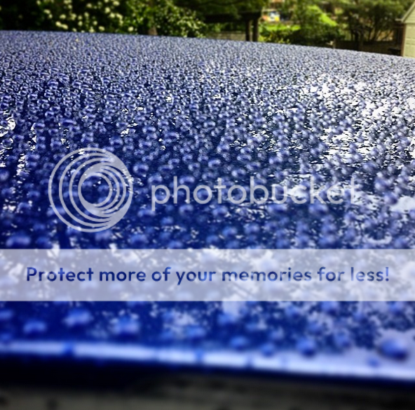 Waxybox Waxaddict development wax | Detailing World Forum