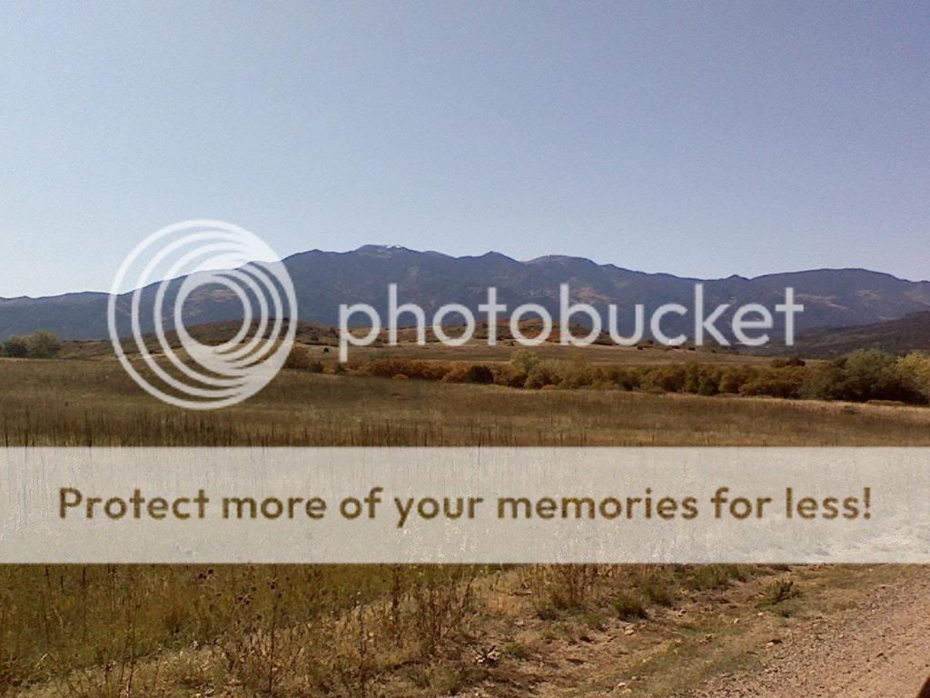 Colorado City, Rye, San Isabel Fall 2009 PHOTO TOUR (trees, area) - (CO ...