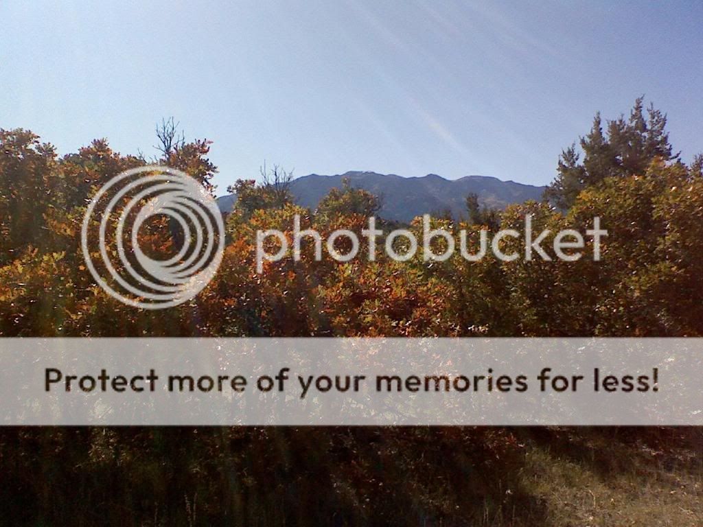 Colorado City, Rye, San Isabel Fall 2009 PHOTO TOUR (trees, area) - (CO ...