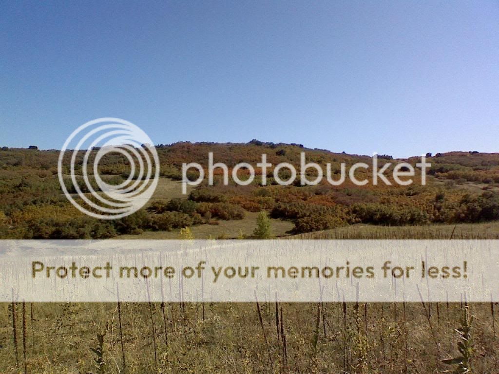 Colorado City, Rye, San Isabel Fall 2009 PHOTO TOUR (trees, area) - (CO ...