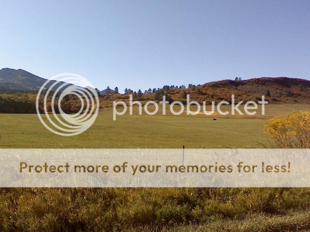 Colorado City, Rye, San Isabel Fall 2009 PHOTO TOUR (trees, area) - (CO ...