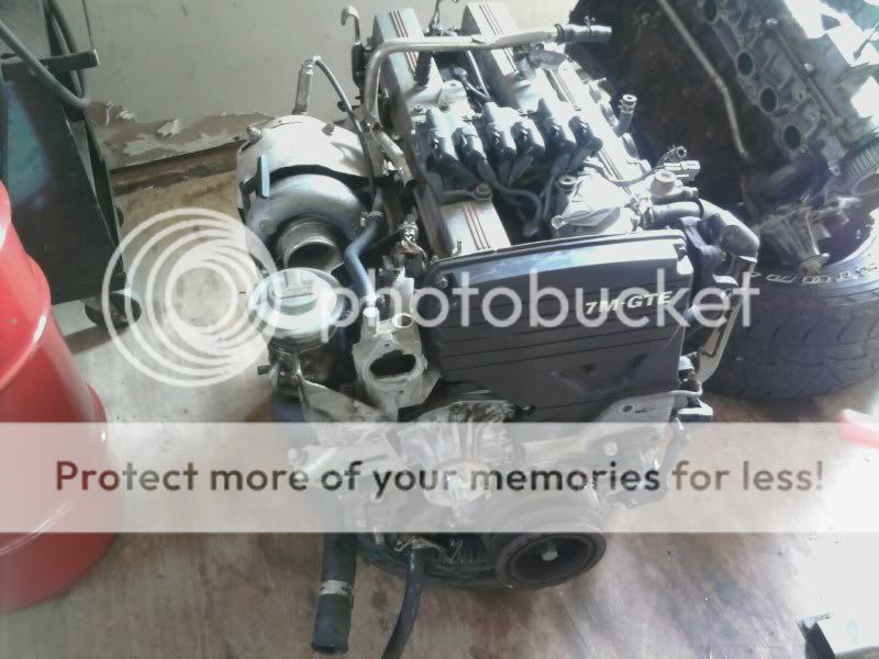 Taylored 7mgte engine build | Toyota Celica Supra Forum