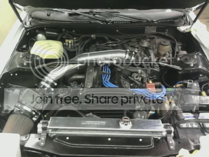 Taylored 7mgte engine build | Toyota Celica Supra Forum