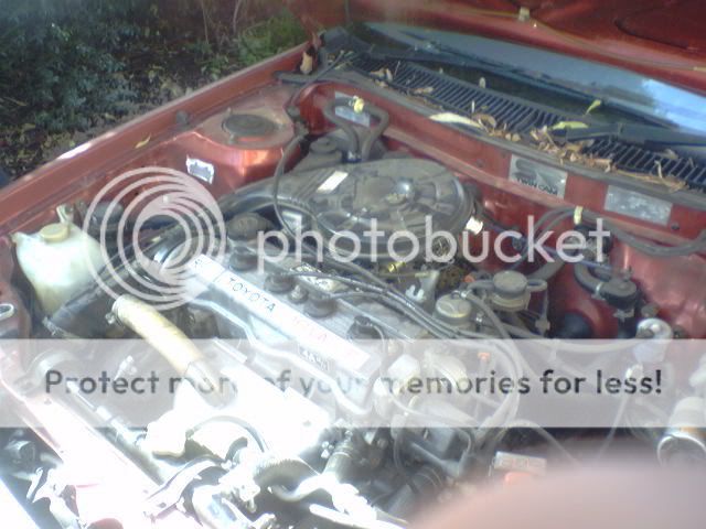 1990 corolla | Toyota Nation Forum