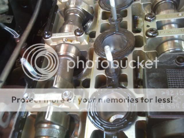 Replaced valve cover gasket, no sludge? pictarz | VW Vortex ...